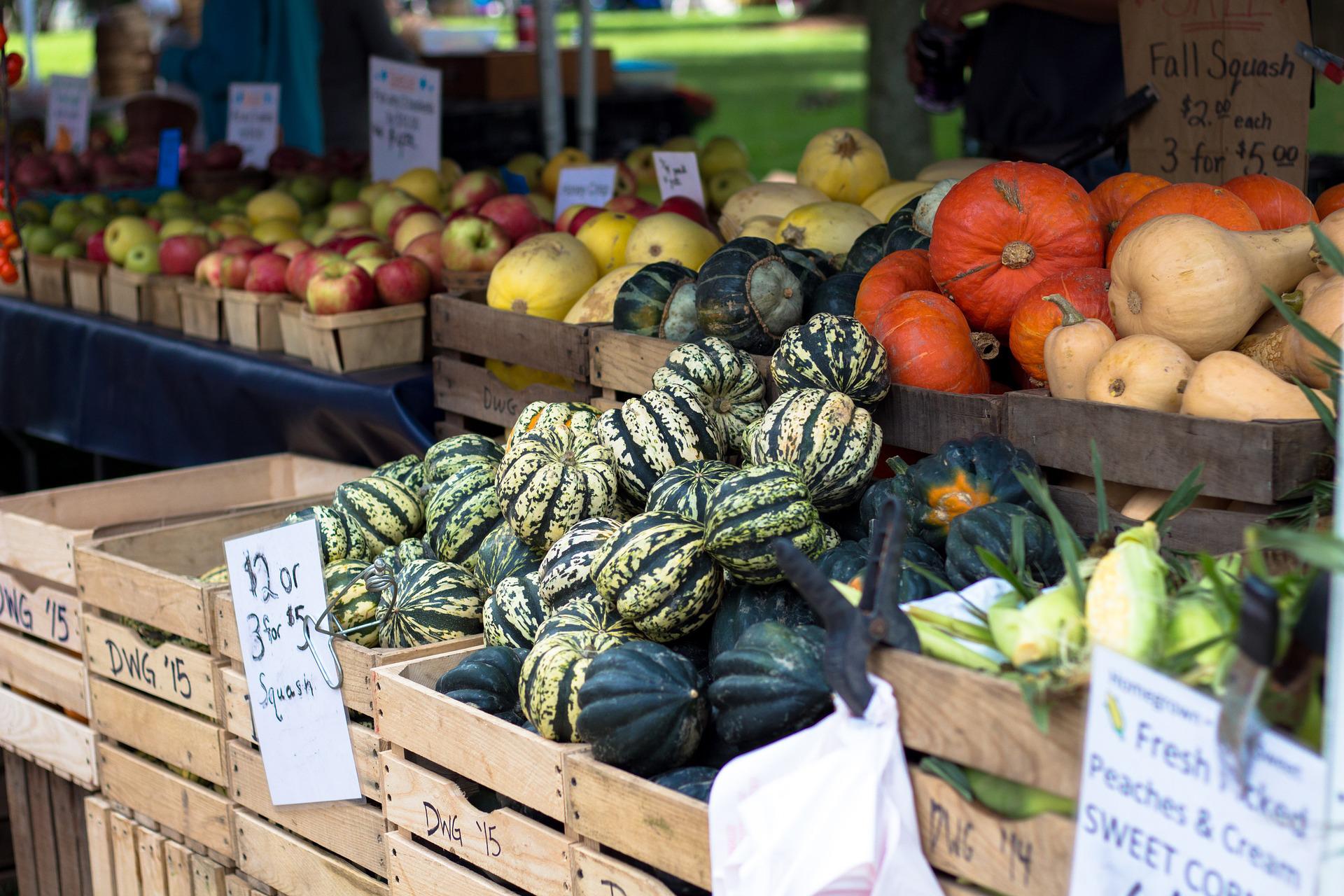 UF and Chartwells Higher Education Introduce “Florida Fresh Dining ... UF and Chartwells Higher Education Introduce “Florida Fresh Dining ...